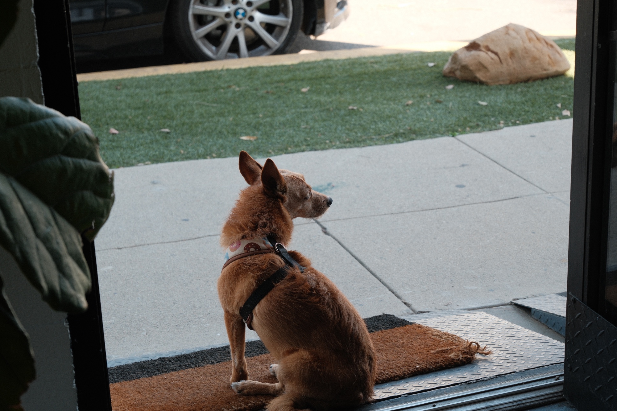 CJF's Music Worldview